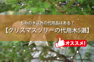クリスマスツリーはもみの木以外でも代用できる？おすすめの木5選！ | トレトレの昨日の？を今日で解決！